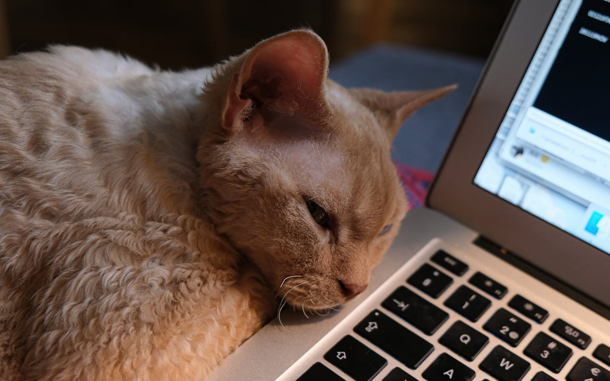 Creative Writing and Excel Sheets Innovative Ways to Boost Productivity ...